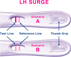 14 DAY IN-STREAM OVULATION TEST KIT - First Response Australia
